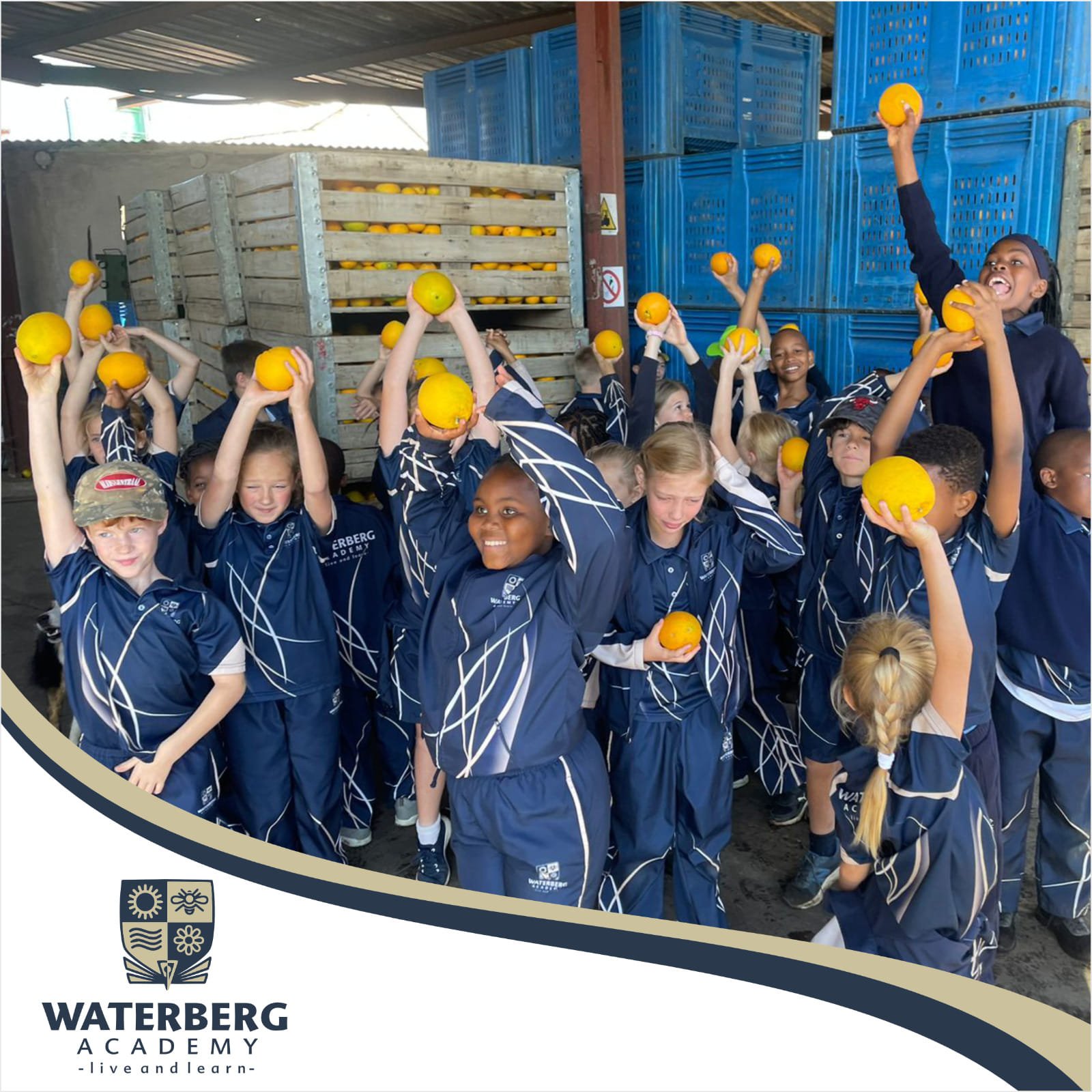 Waterberg Academy - Waterberg Online