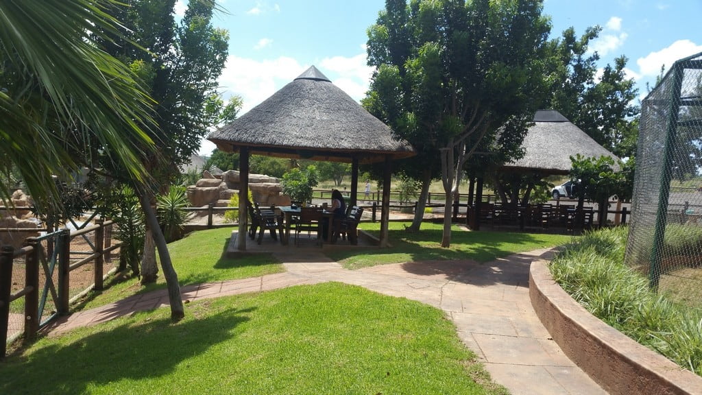 Mystic Monkeys and Feathers Wildlife Park - Waterberg Online