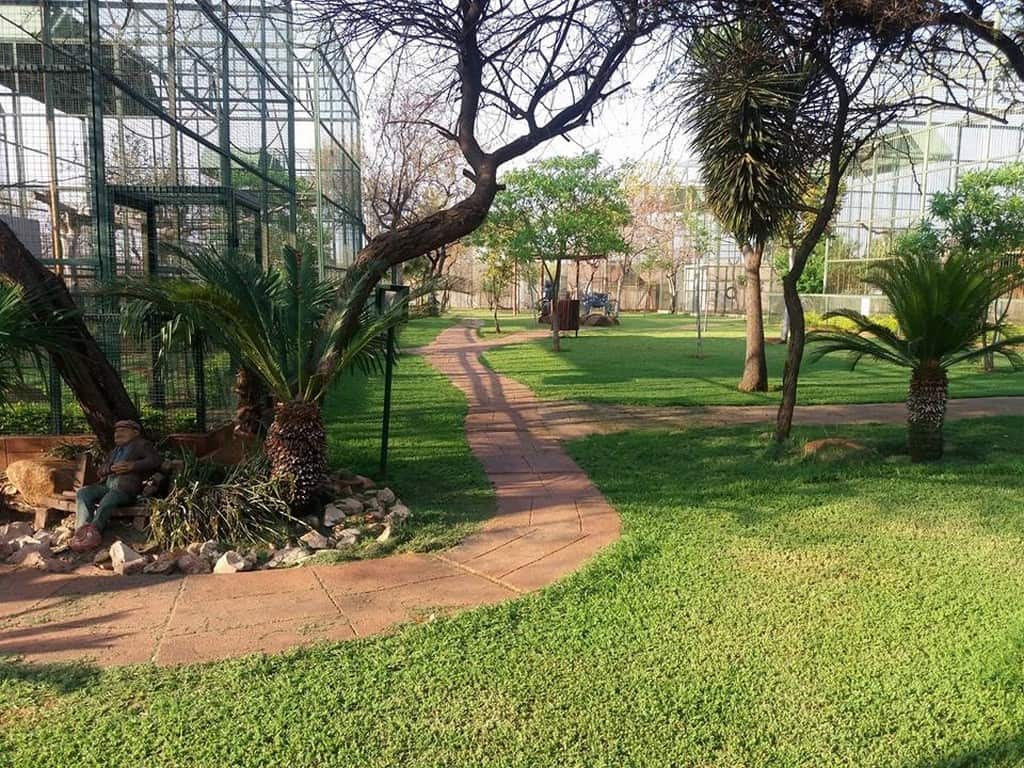 Mystic Monkeys and Feathers Wildlife Park - Waterberg Online