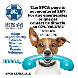 SPCA Lephalale DBV - Waterberg Online