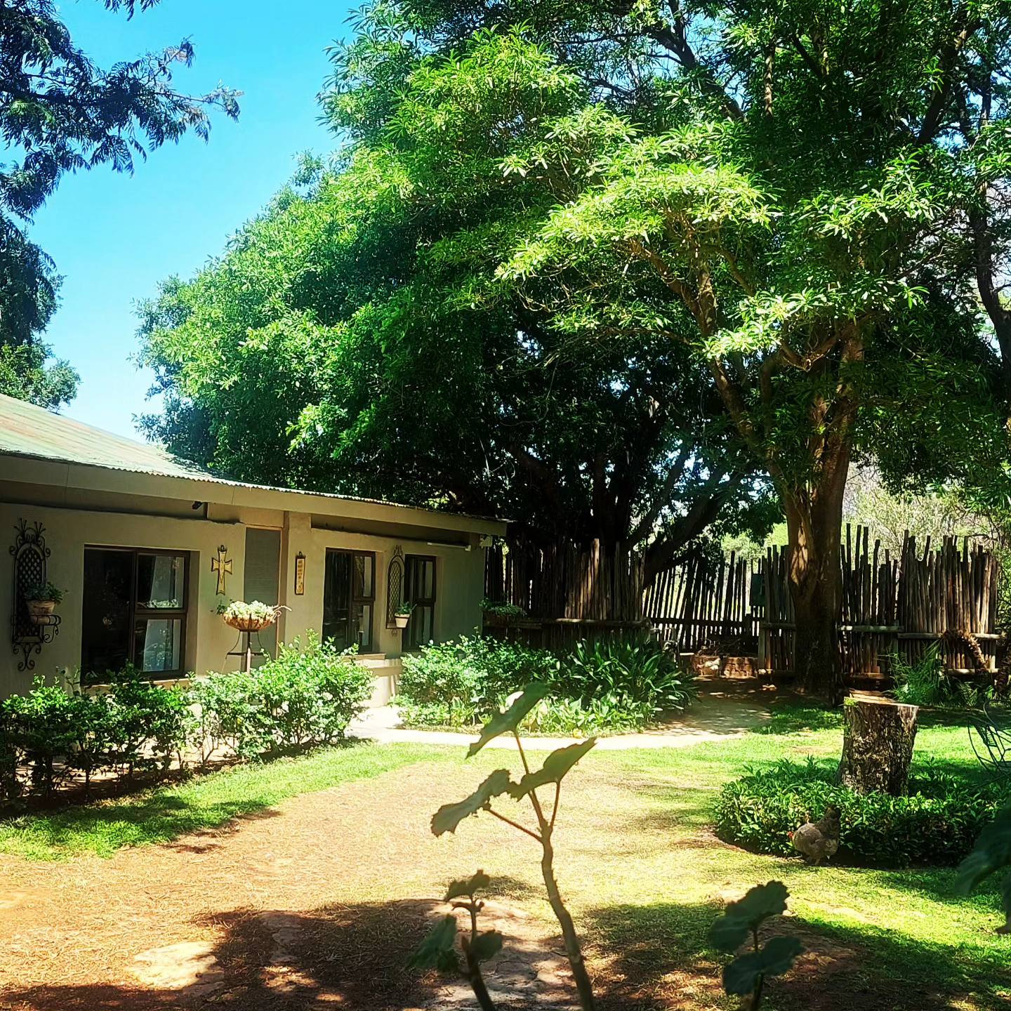 Ilnika Farm Stay - Waterberg Online